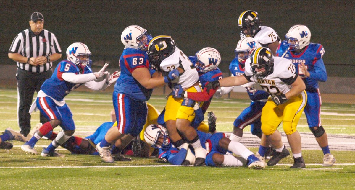 The Cobras’ season comes to an end – The Copiah Monitor